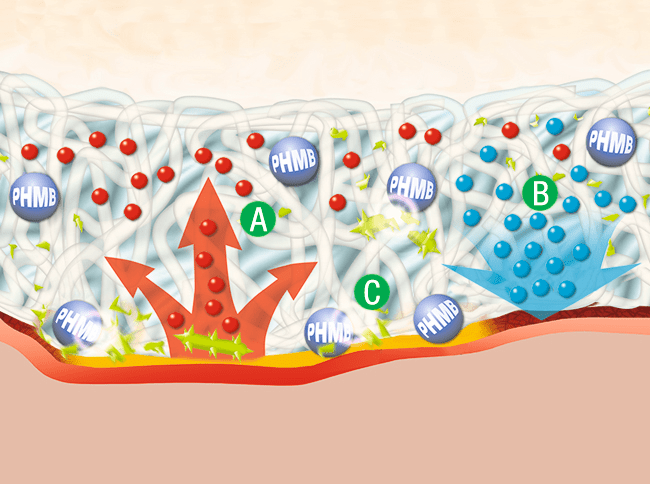 L&R Global: Suprasorb X + PHMB