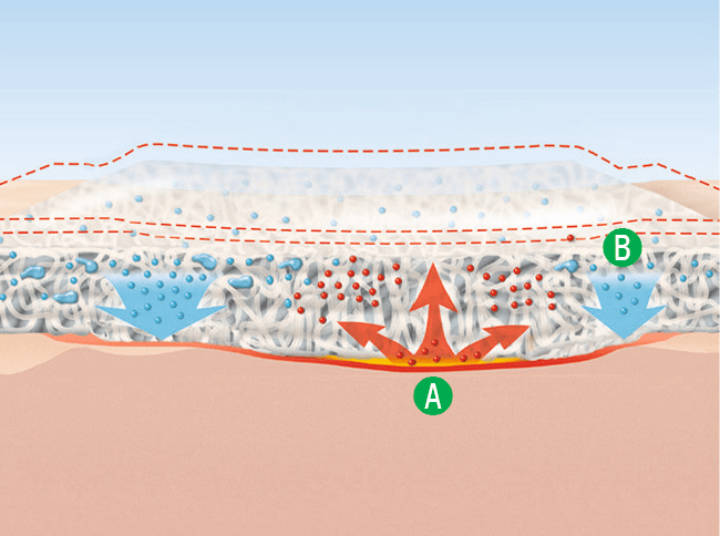 L&R Global: Wound Care